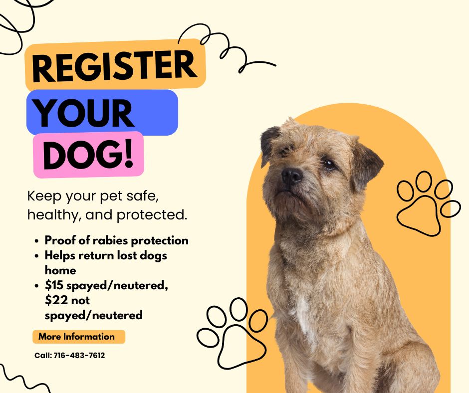 Dog License